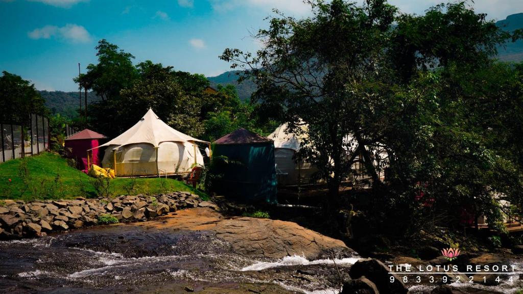 Photo Gallery – The Lotus Resort